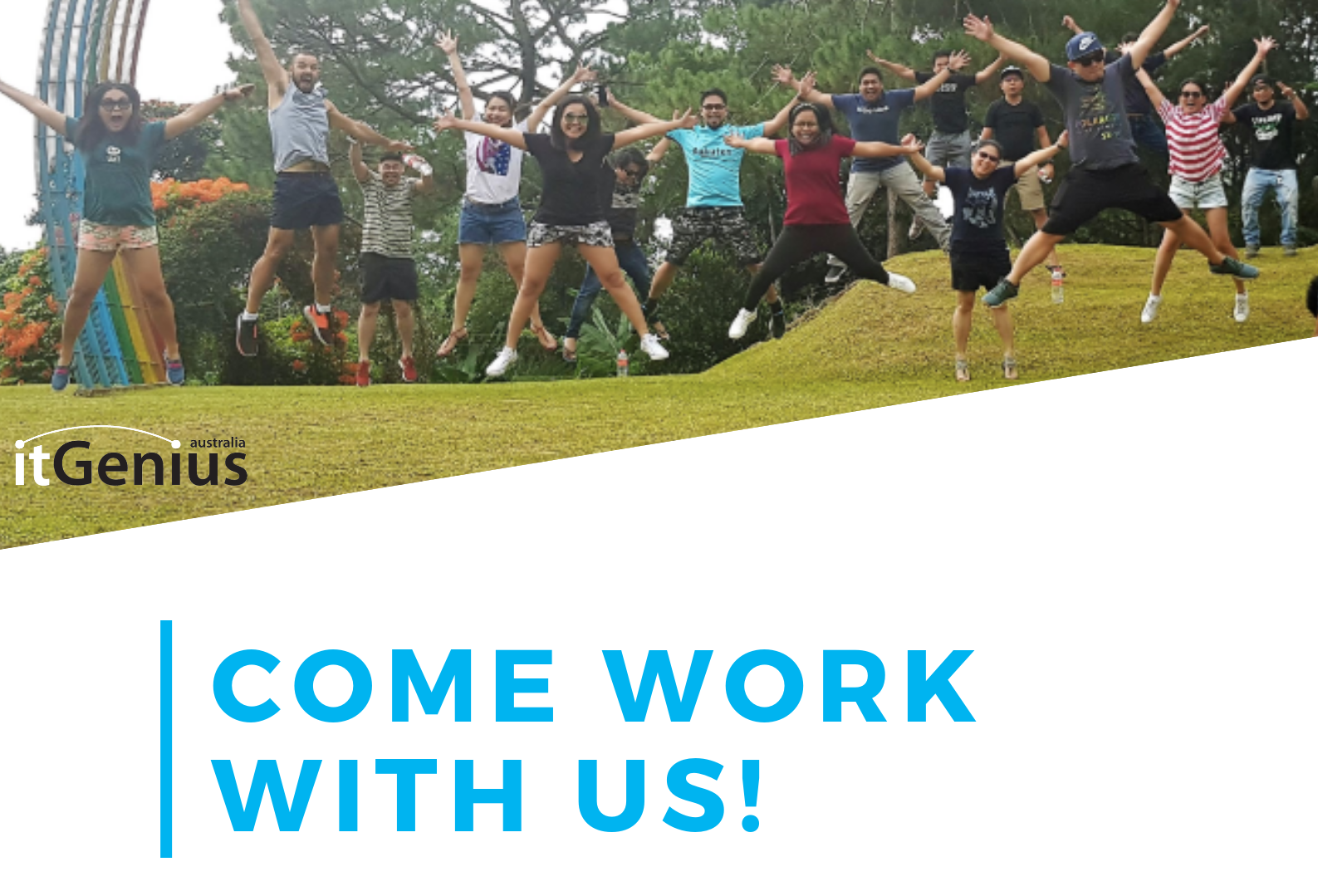 Join our Team: Looking for Ambitious Remote Professionals - itGenius ...